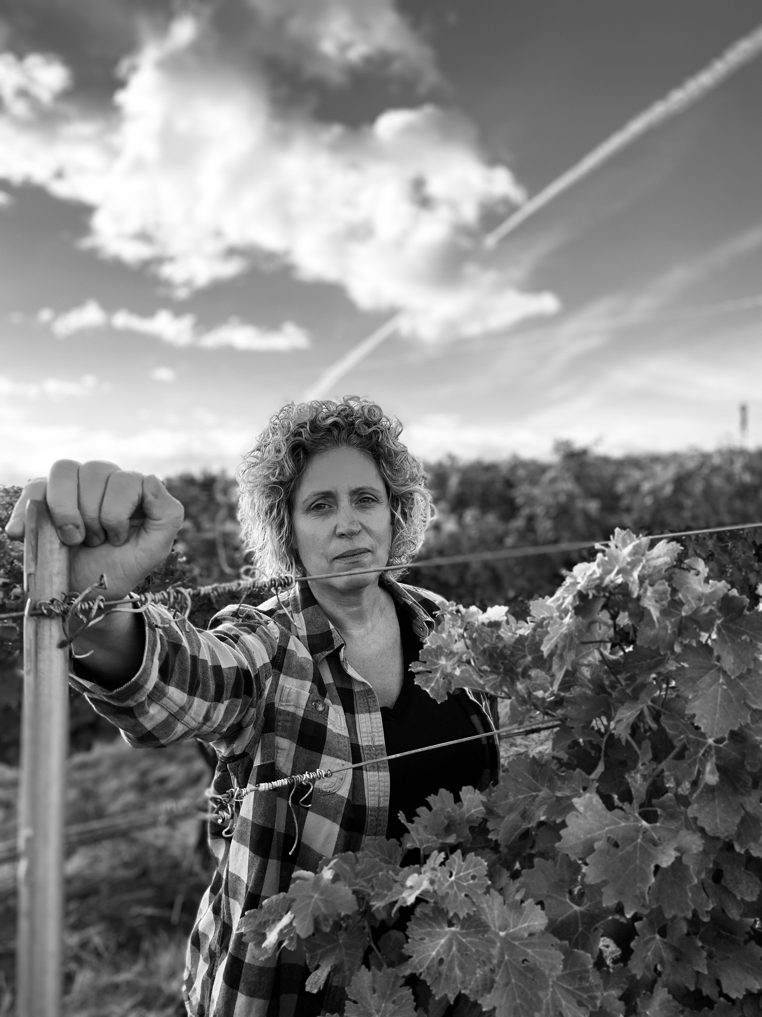 Holly Turner - Three Rivers Winery