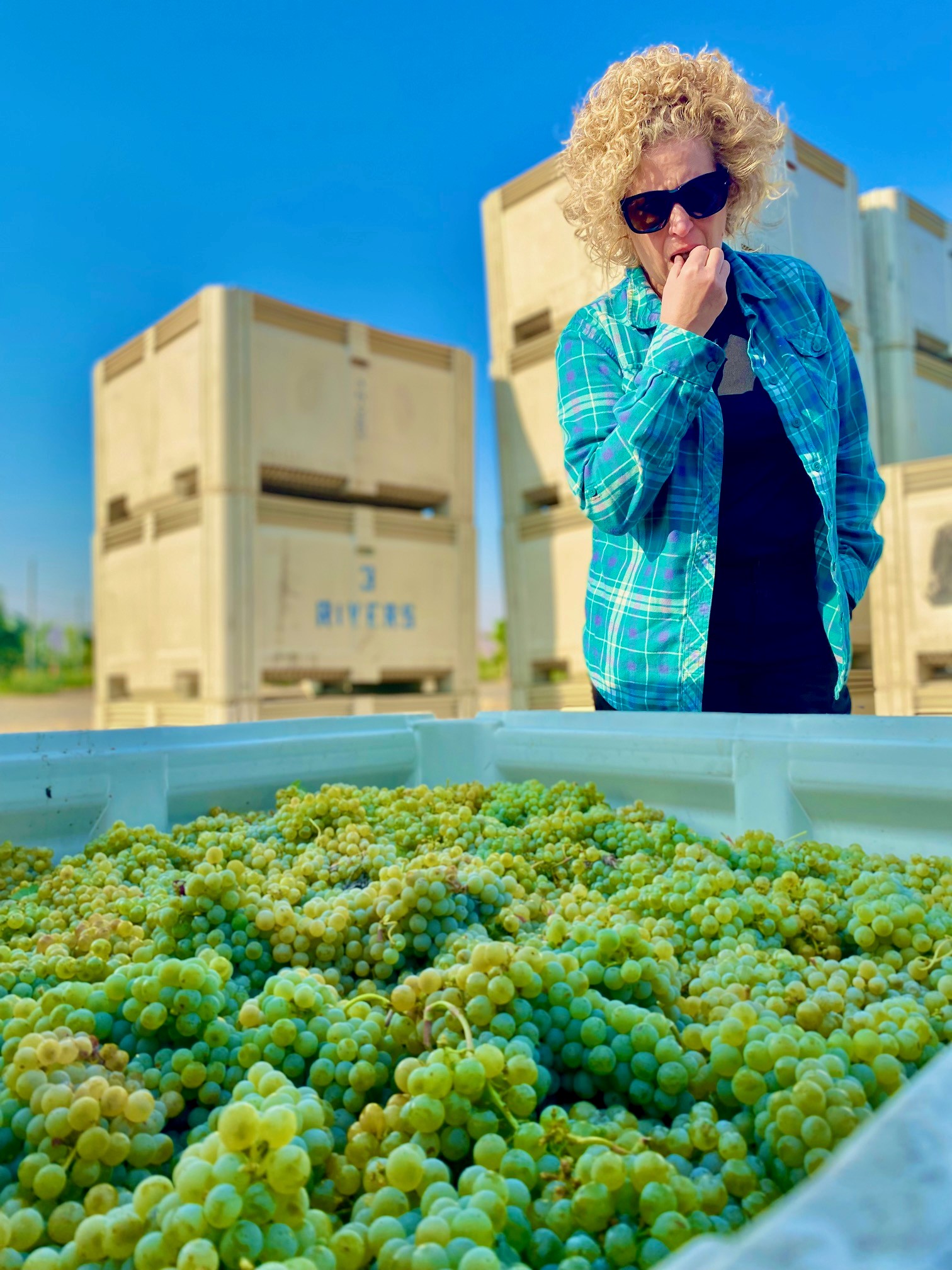 Three Rivers Winery - Walla Walla Wine Country