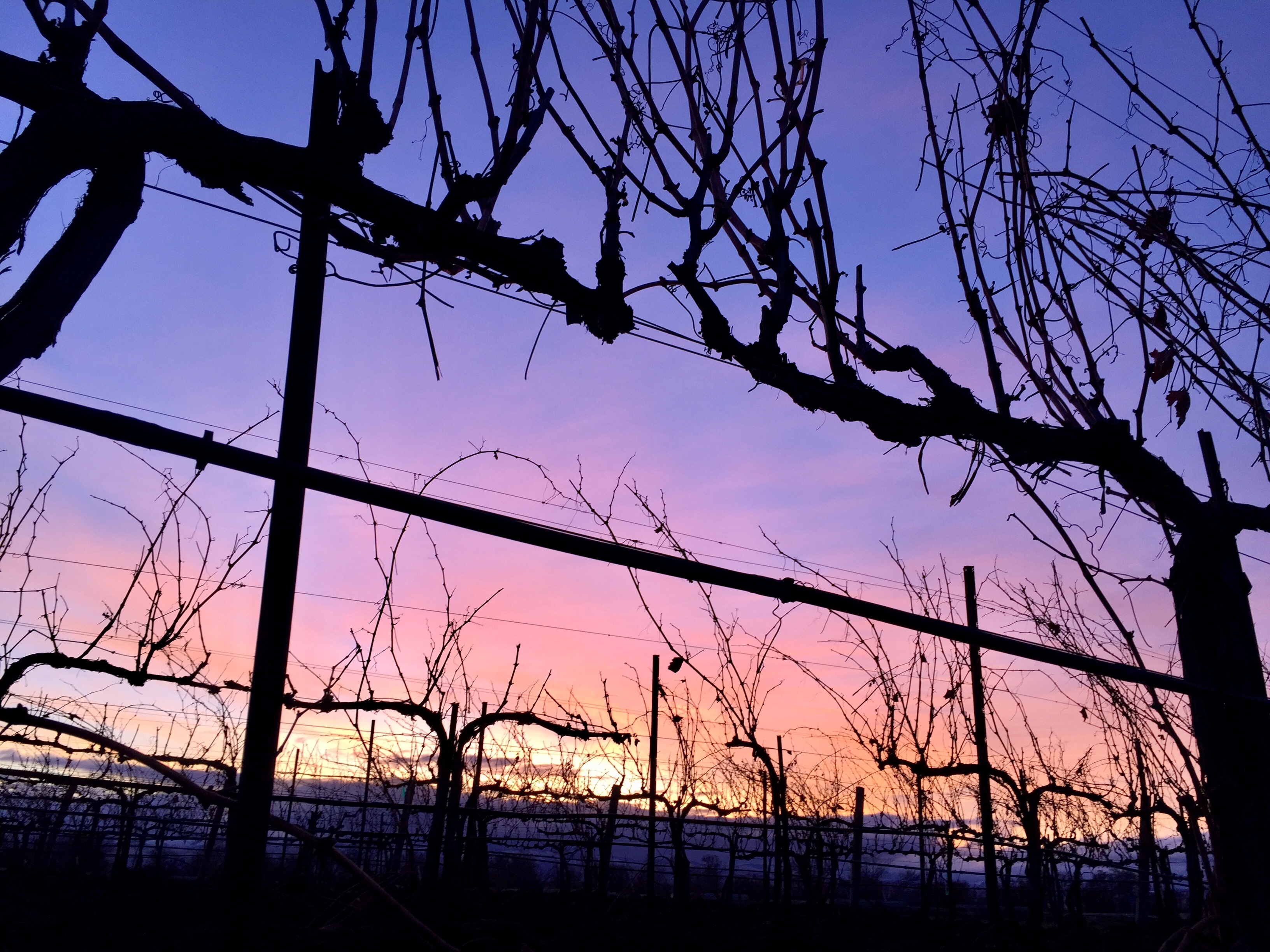 Three Rivers Winery - Walla Walla Wine Country